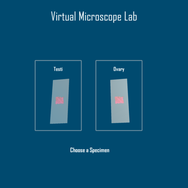 Virtual 3D Microscope Lab for Students Offered by OSU | Virtually ...