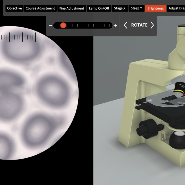 Virtual 3D Microscope Lab for Students Offered by OSU | Virtually ...