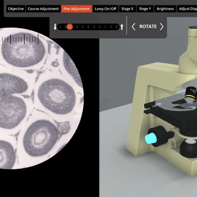 Virtual 3D Microscope Lab for Students Offered by OSU | Virtually ...