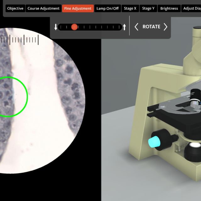 Virtual 3D Microscope Lab for Students Offered by OSU | Virtually ...