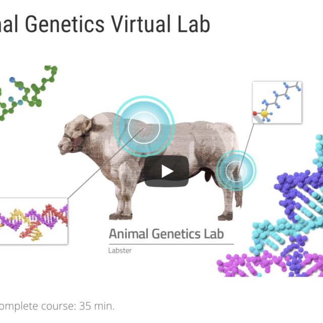 Online Virtual Science & Engineering Labs | Virtually Inspired ...