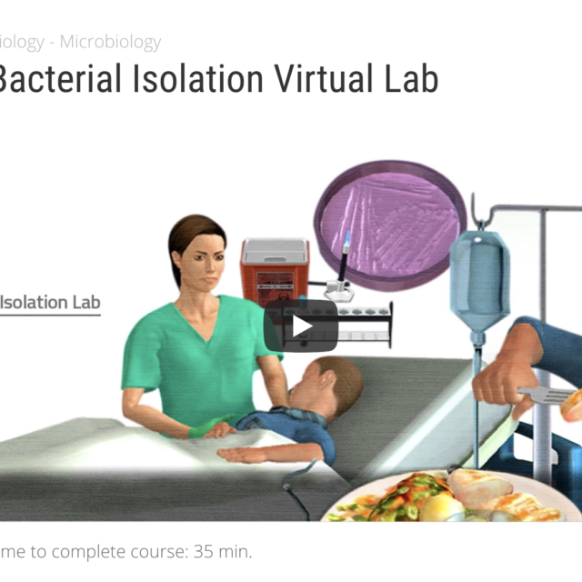 Online Virtual Science & Engineering Labs | Virtually Inspired ...